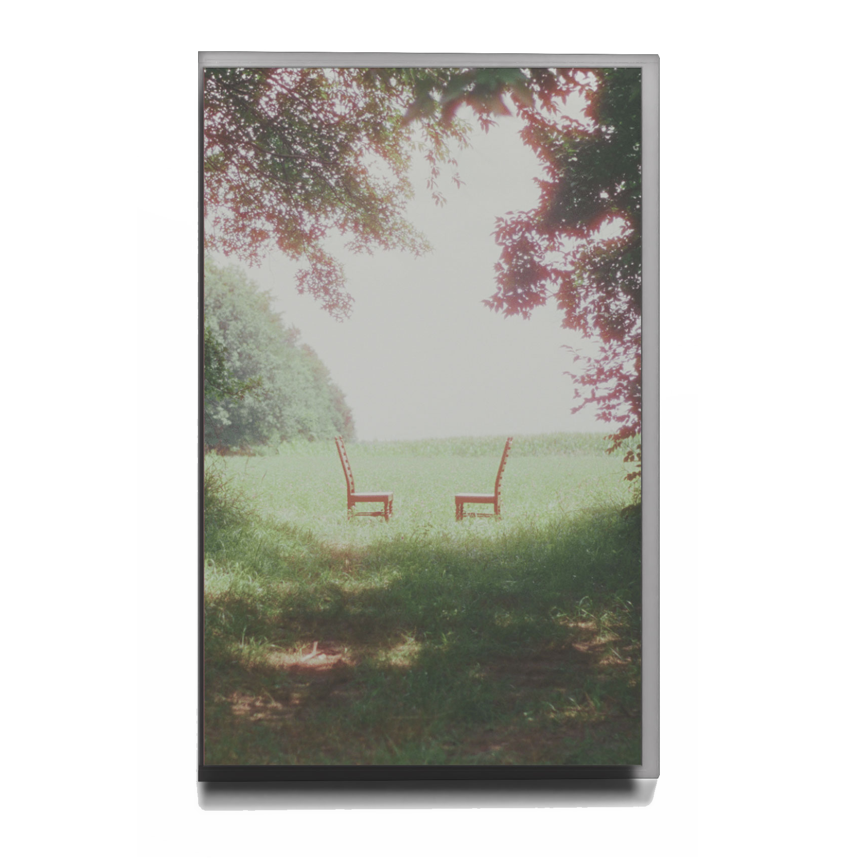 Singin' to an Empty Chair Cassette – Ratboys